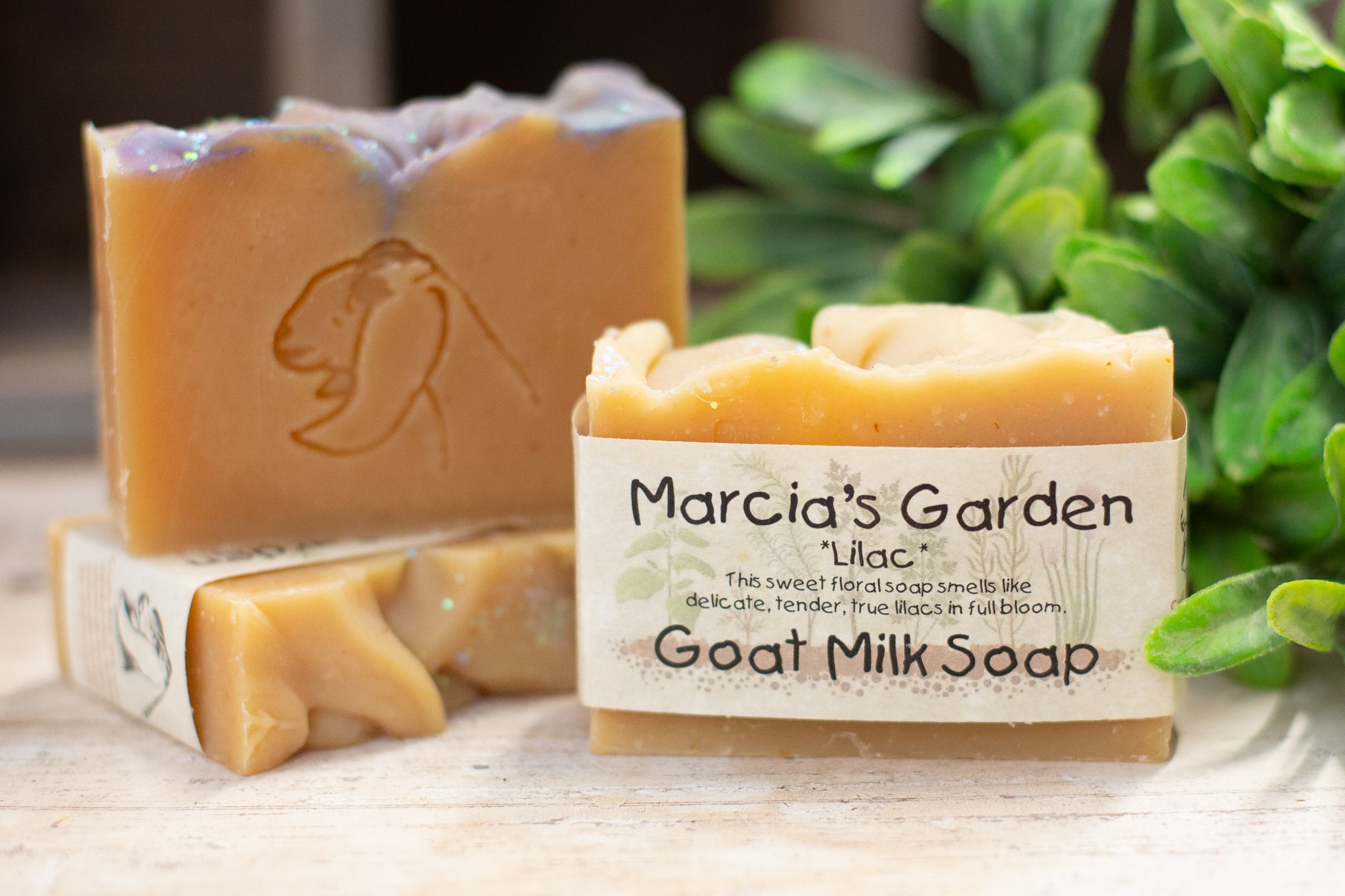 Lilac Goat Milk Soap – Marcia's Legacy Soap Co.